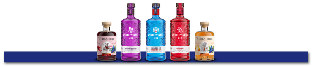 Gin Deals & Offers l Buy Gin Online l The Drop Store